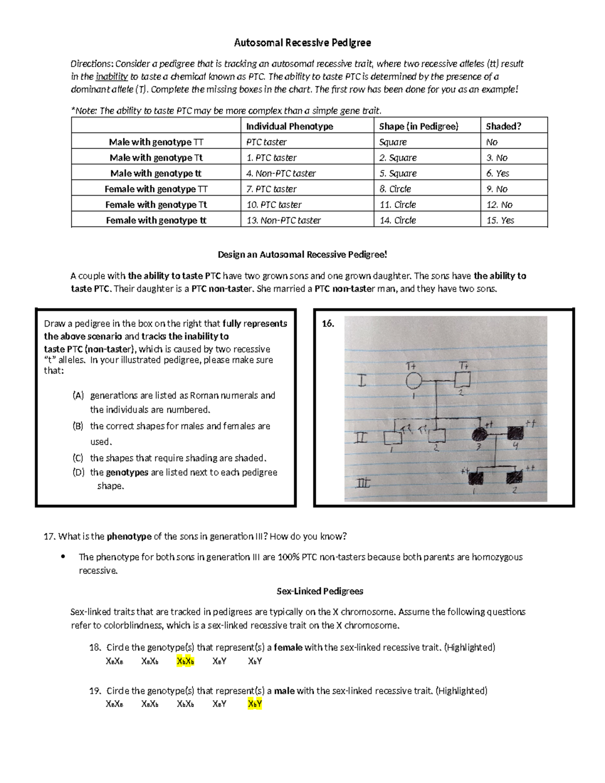 Pedigree Worksheet 1090 - Autosomal Recessive Pedigree Directions ...
