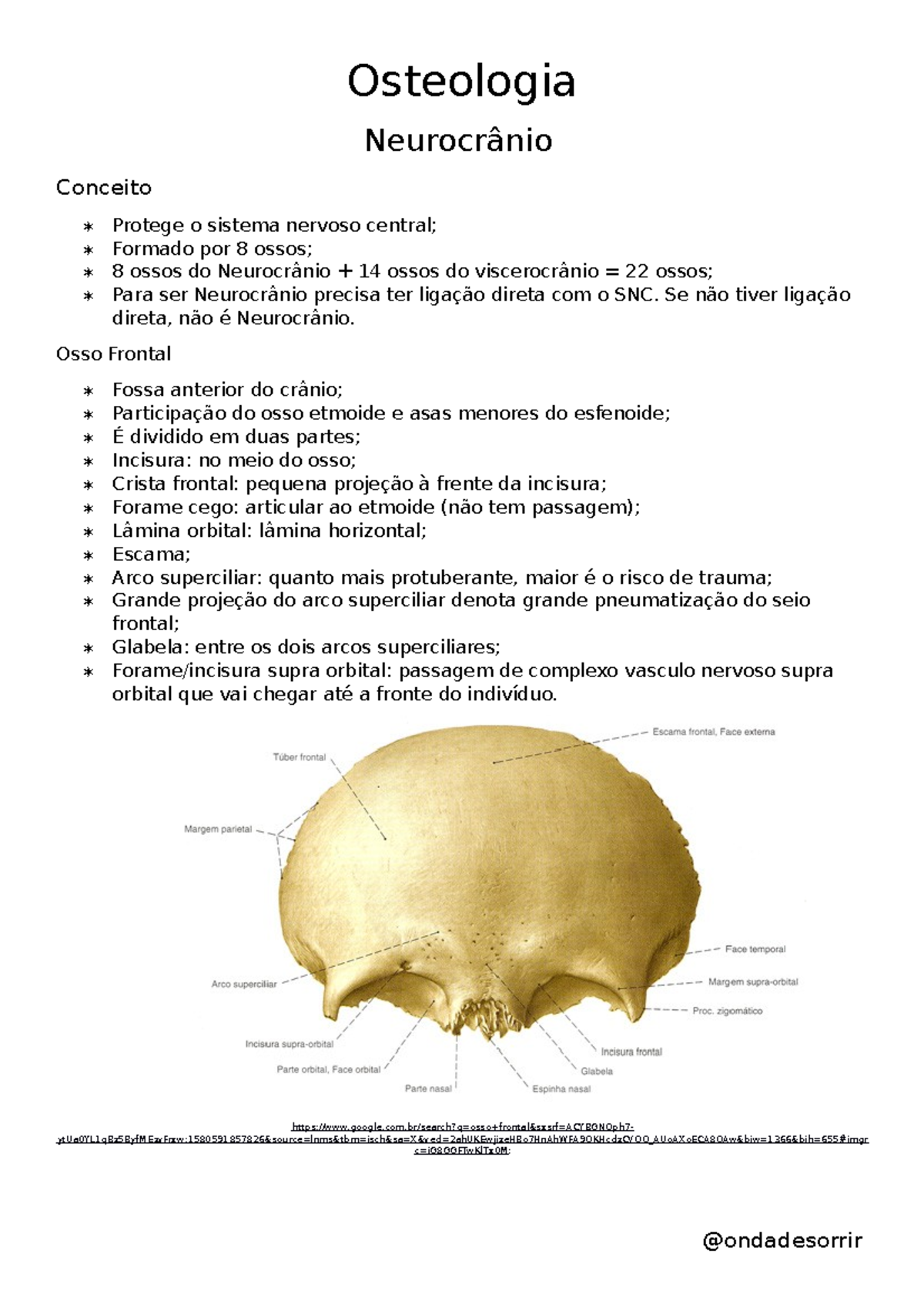 Osteologia Neurocrânio - Osteologia Neurocrânio Conceito Protege o sistema nervoso central ...