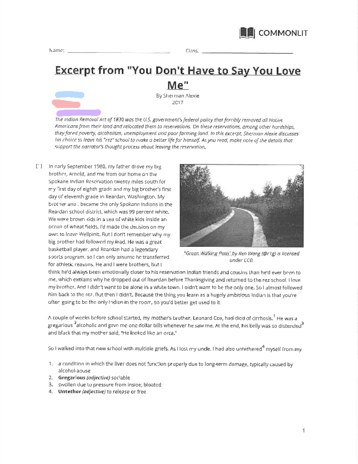 Sherman Alexie's "You Don't Have to Say You Love Me": Analyzing Grief ...