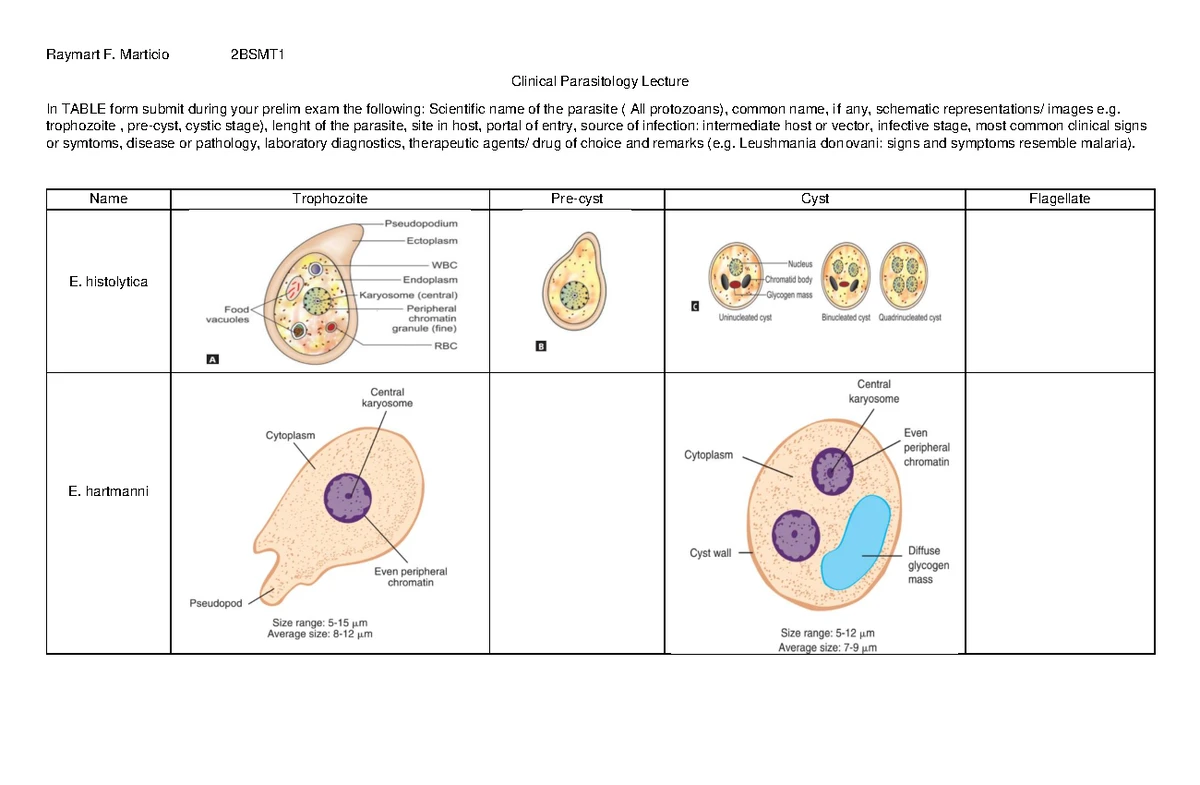 Parasite - Lecture notes 1 - 2 BS Medtech- PARASITOLOGY LECTURE ...