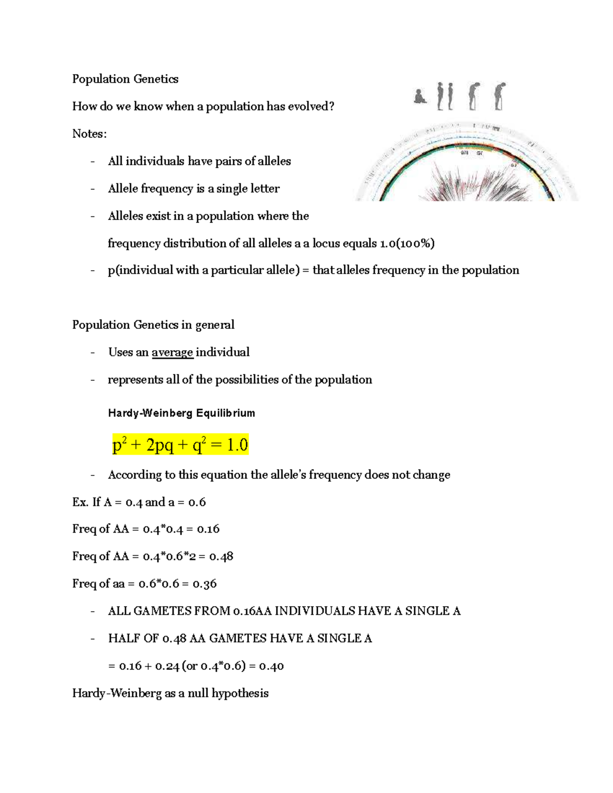 BIOL114 Population Genetics: Evolution and Allele Frequencies Notes ...