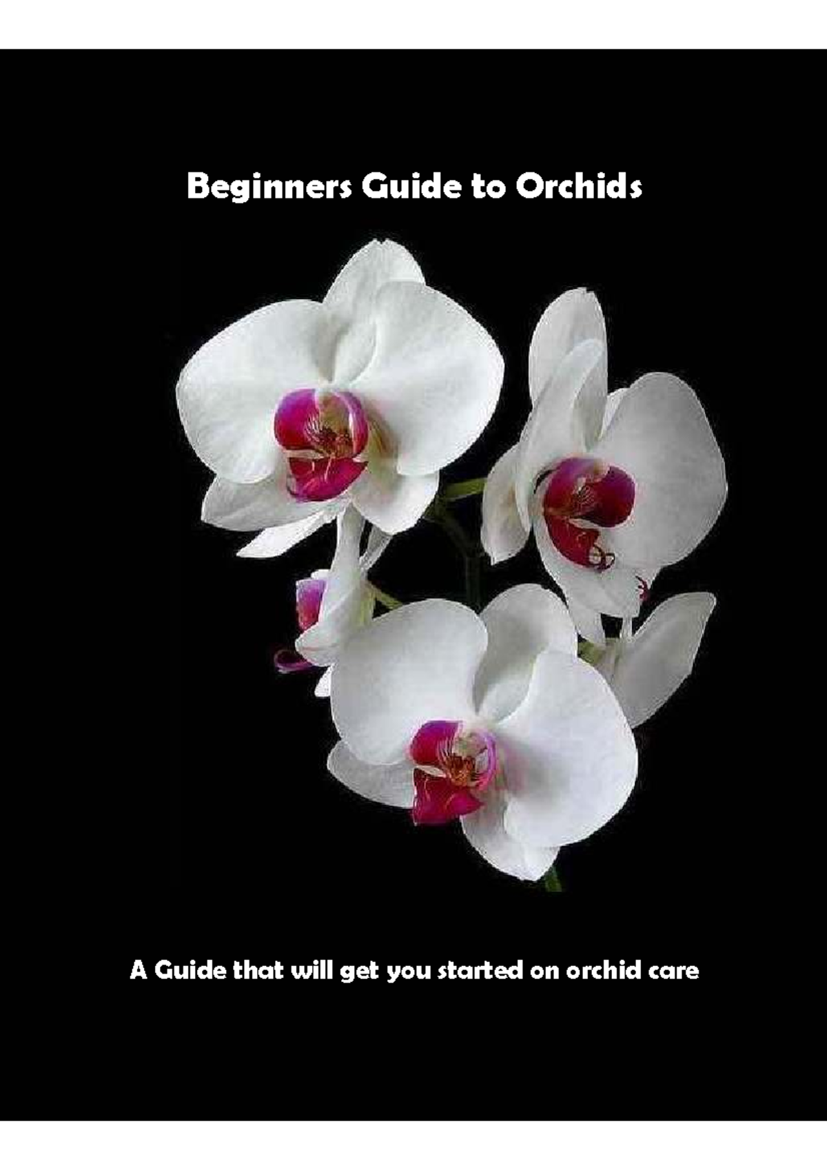 Beginners Guide to Orchids: Essential Care Tips and Insights - Studocu