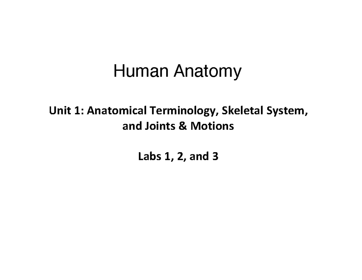 BIOL 3214 Human Anatomy Labs: Unit 1 Figures & Terminology - Studocu