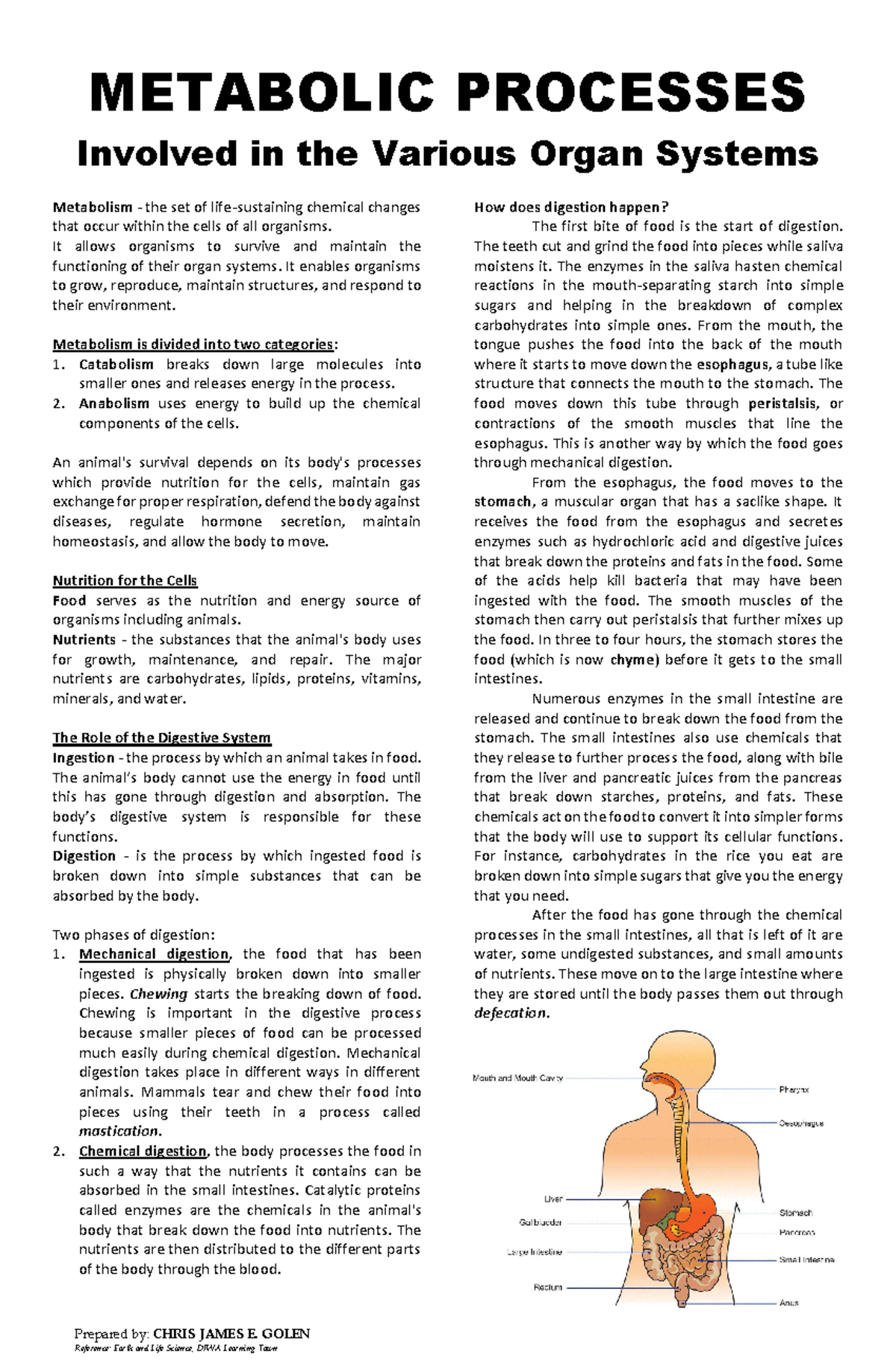 Q2 Handout 12 - lecture notes - METABOLIC PROCESSES Involved in the ...