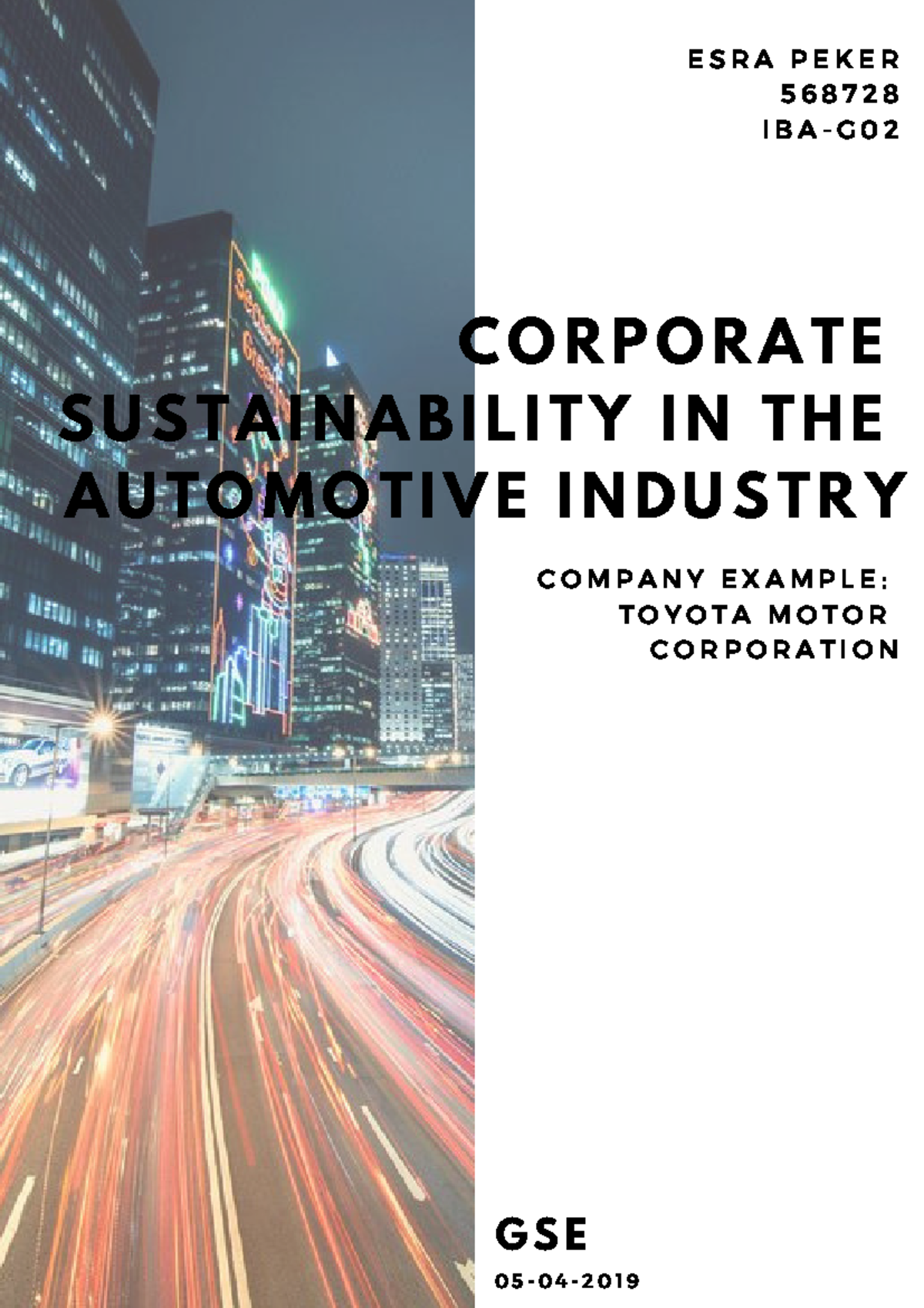 Peker Esra GSE Final Report - CORPORATE SUSTAINABILITY IN THE ...