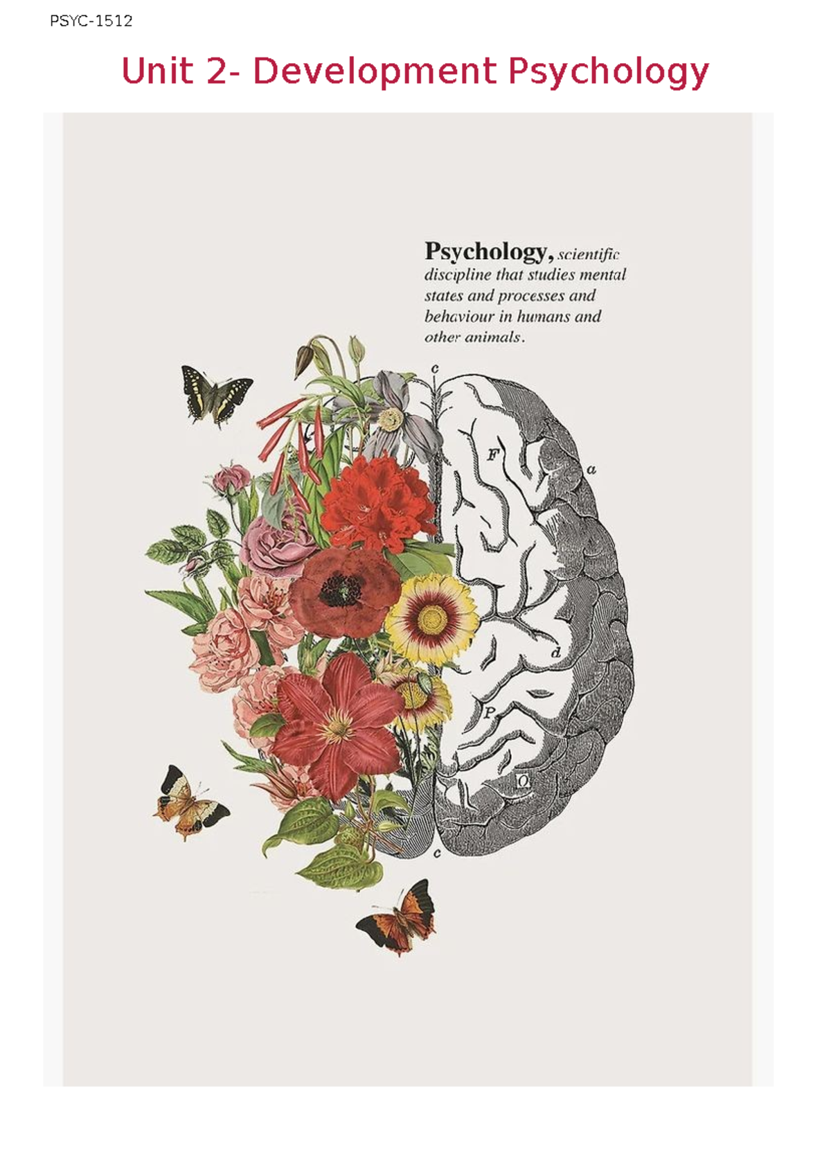 PSYC-1512 Unit 2: Developmental Psychology in Childhood and Adolescence ...