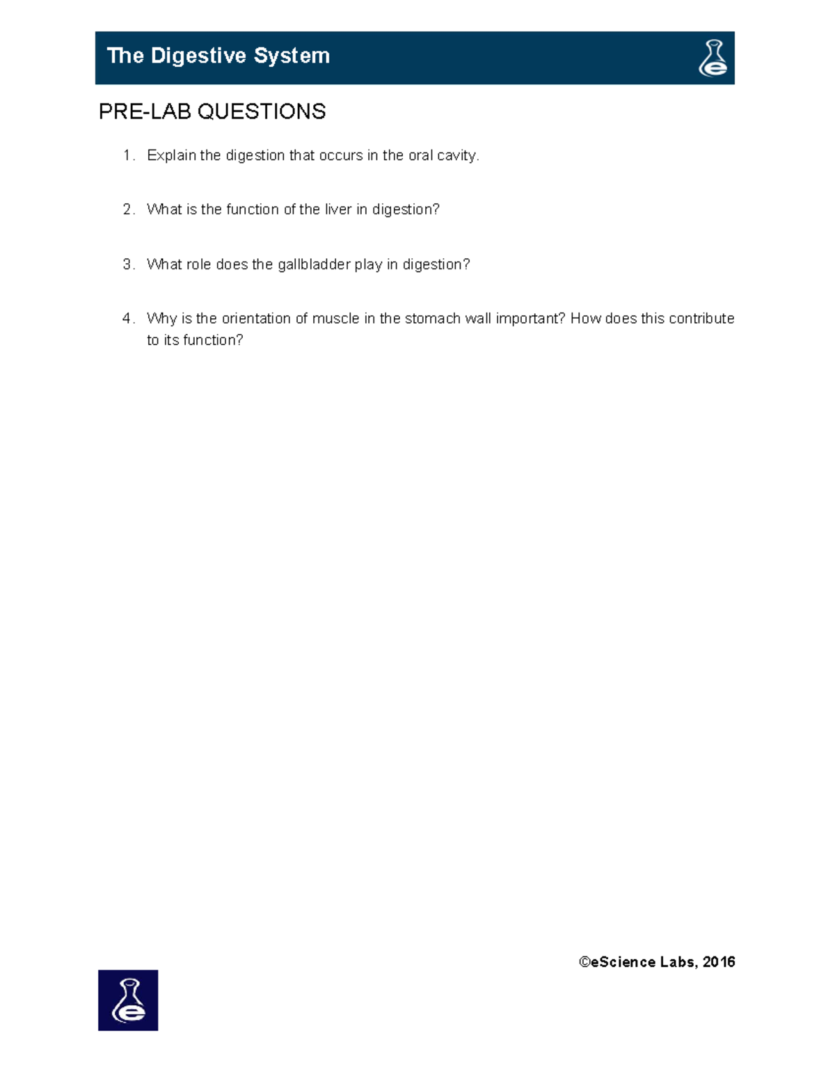 Biology 102: Digestion Lab Pre- and Post-Lab Questions Guide - Studocu