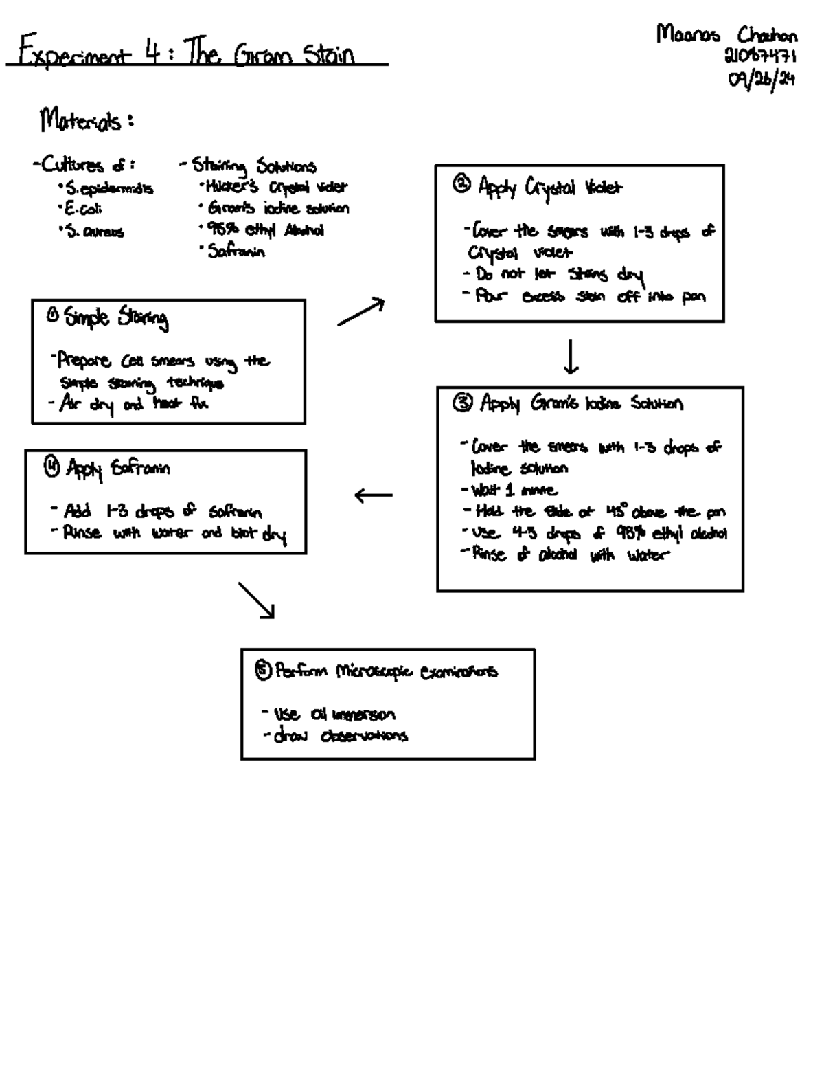 Lab2Flowcharts - Lab flow chart - Experiment 4 : The Gram Stain ...