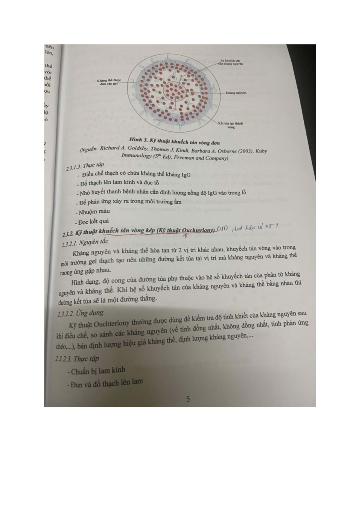 Kỹ Thuật Kết Tủa Miễn Dịch - Môn Học MD 101 - Studocu