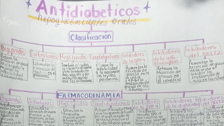 Antidiabéticos Orales: Clasificación y Farmacodinamia - Studocu