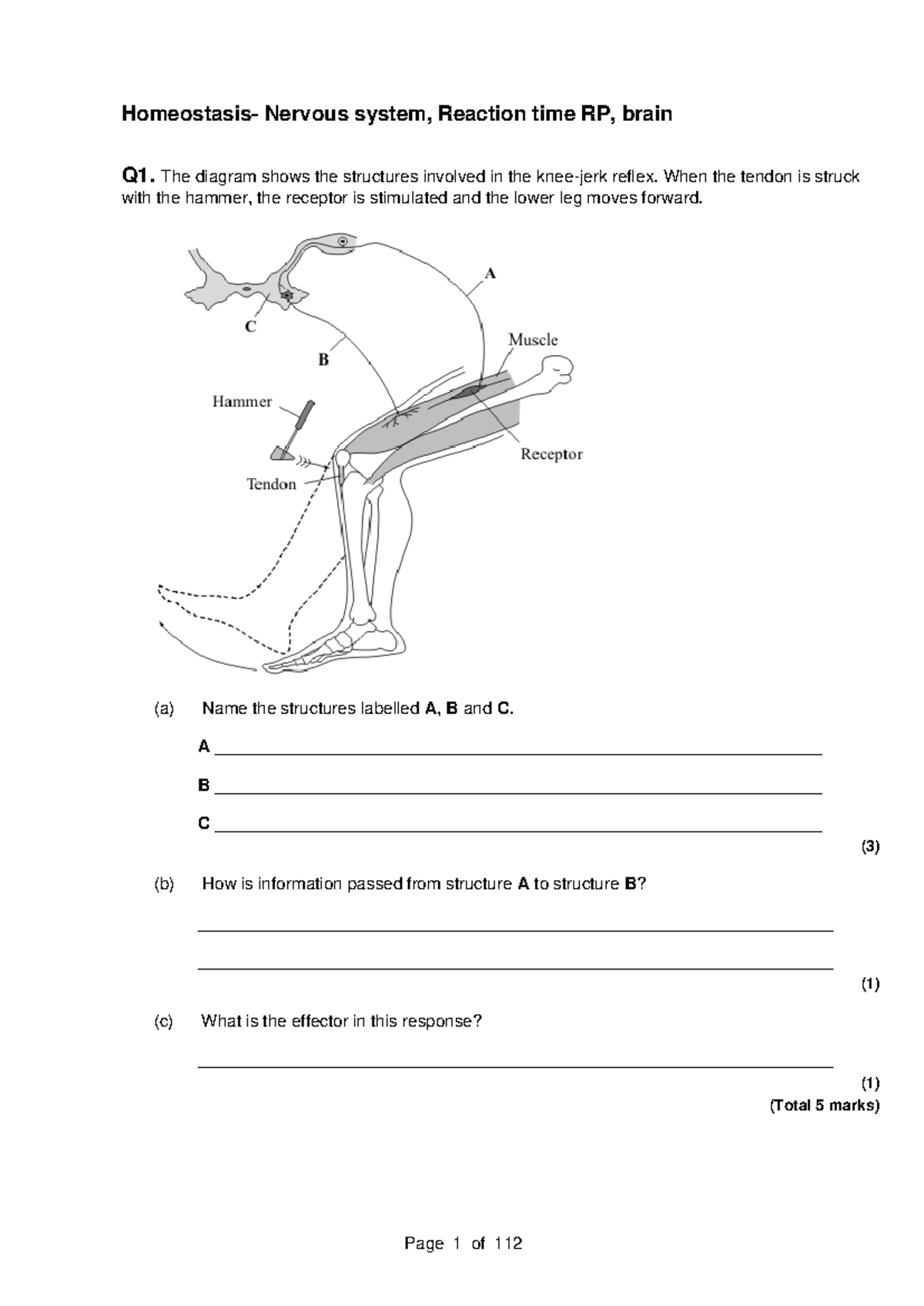 Homeostasis and Reflex Action Revision Booklet - Paper 2 2023 - Studocu