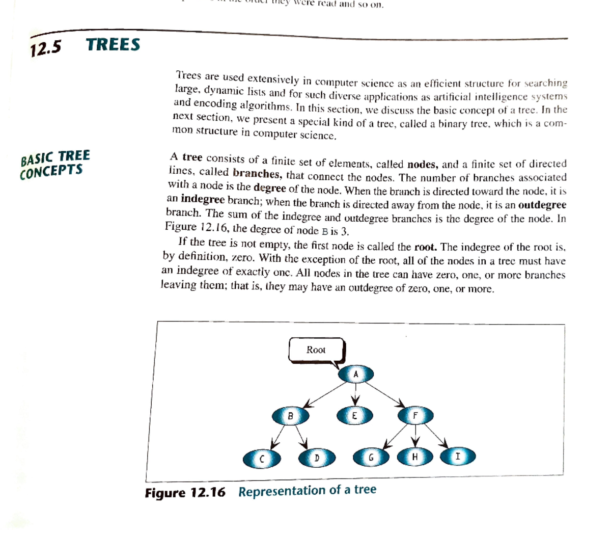 Study Notes on Trees & Binary Trees for CS101 - Studocu