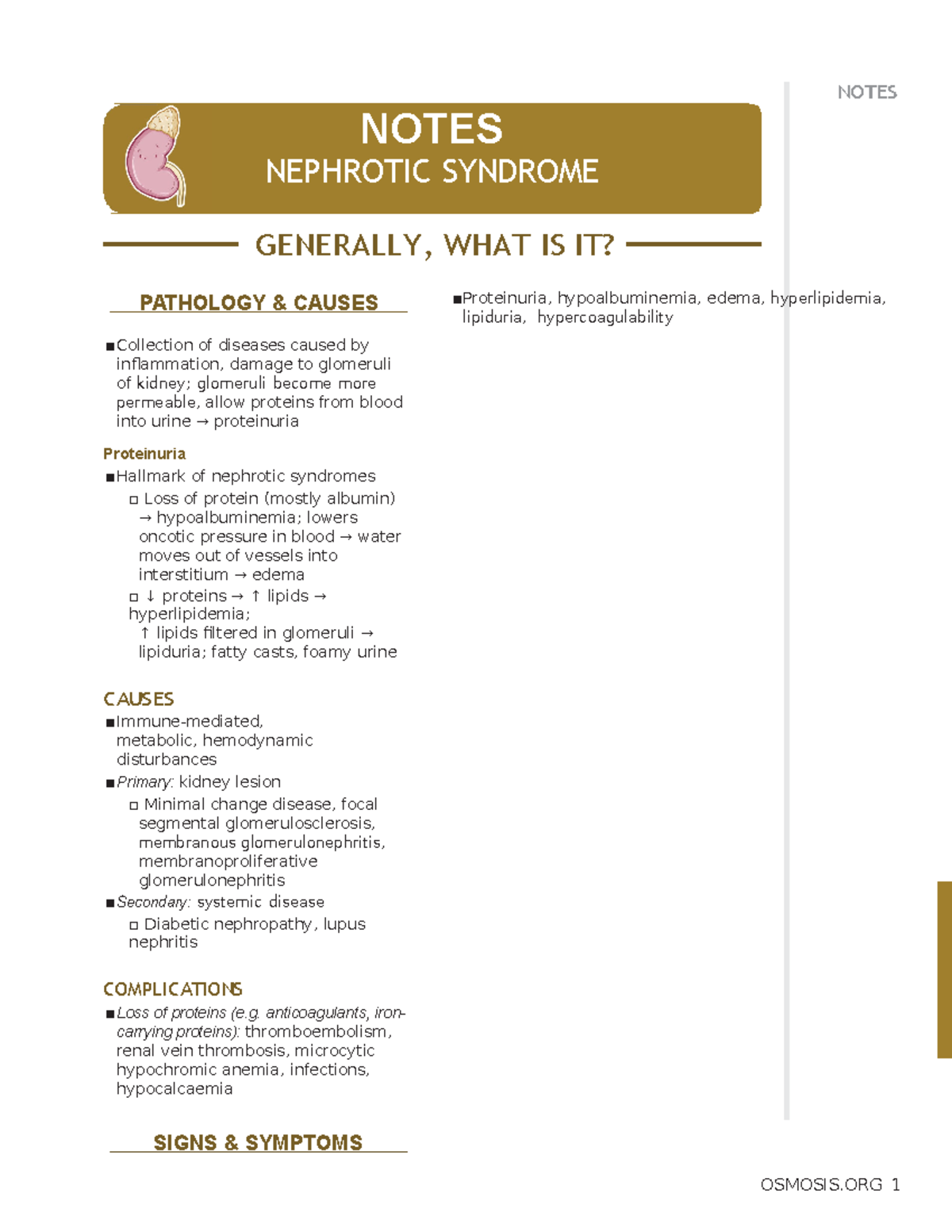 Nephrotic Syndromes Overview: Pathology, Diagnosis, and Treatment Guide ...