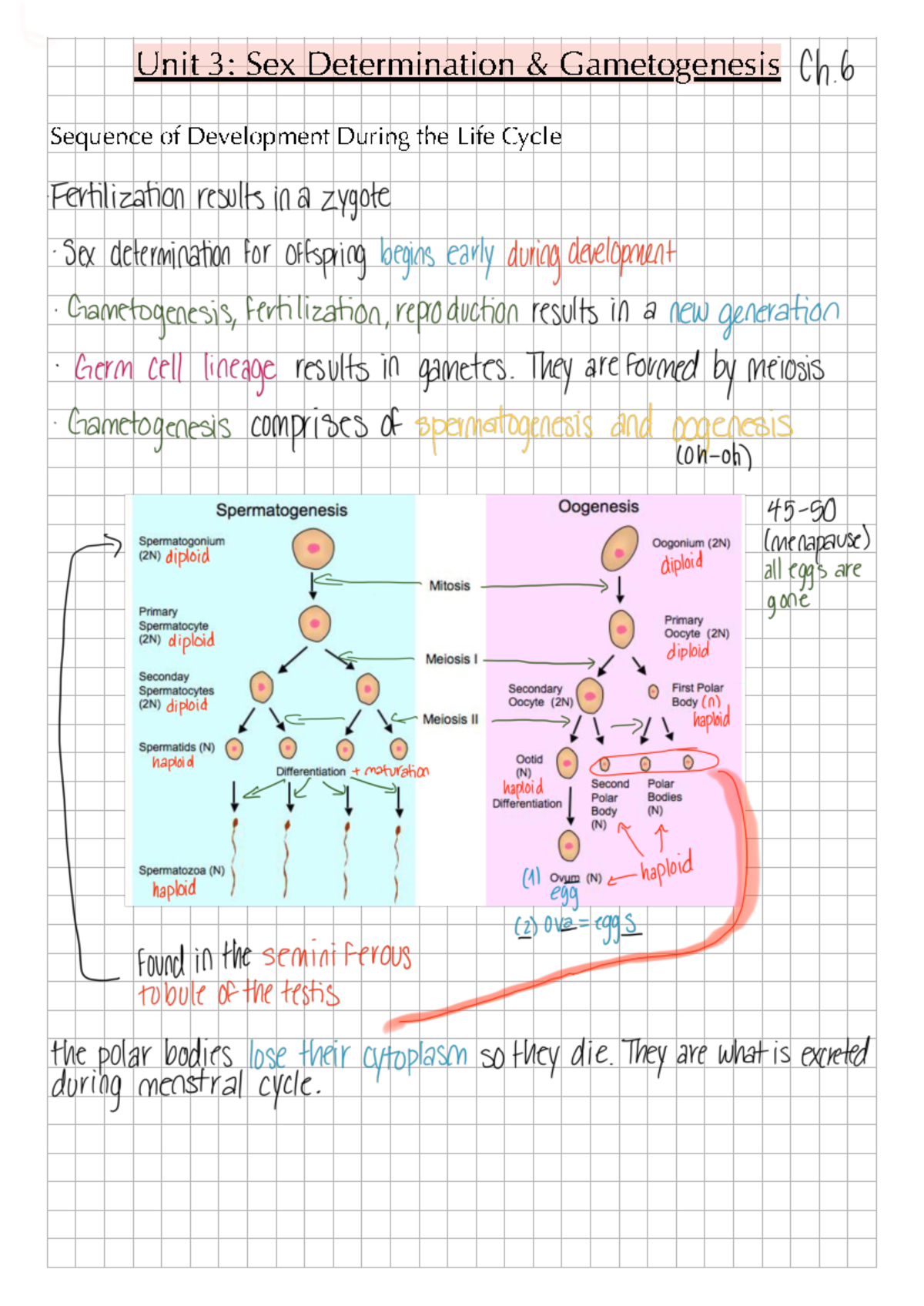 Module 3 notes - dr. nyaga. - BIOL 204 - Unit 3: Sex Determination ...