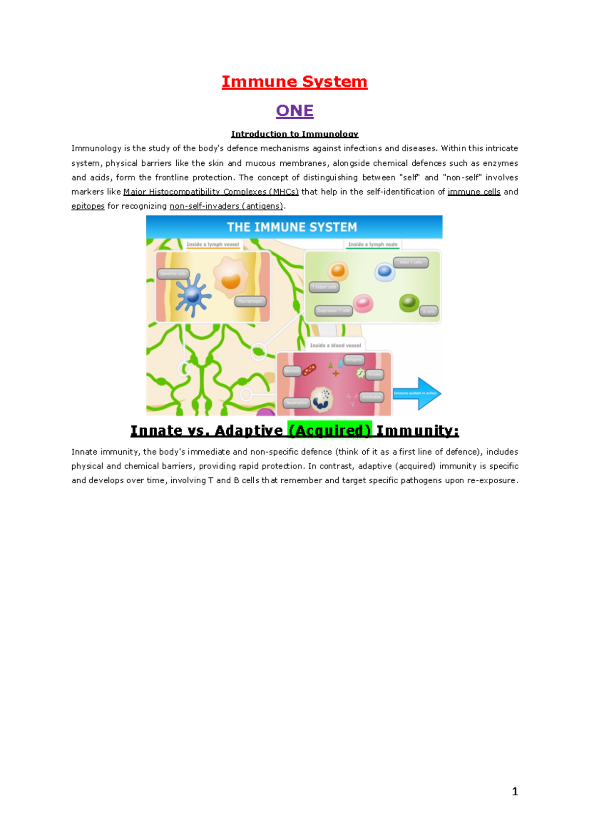 Unit 5 Immunology Notes - Immune System ONE Introduction to Immunology ...