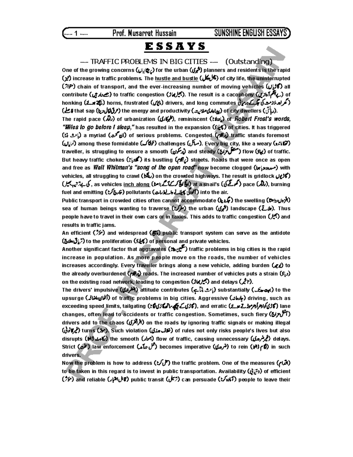Prof. Musarrat Hussain SUNSHINE ENGLISH ESSAYS: TRAFFIC PROBLEMS IN BIG ...