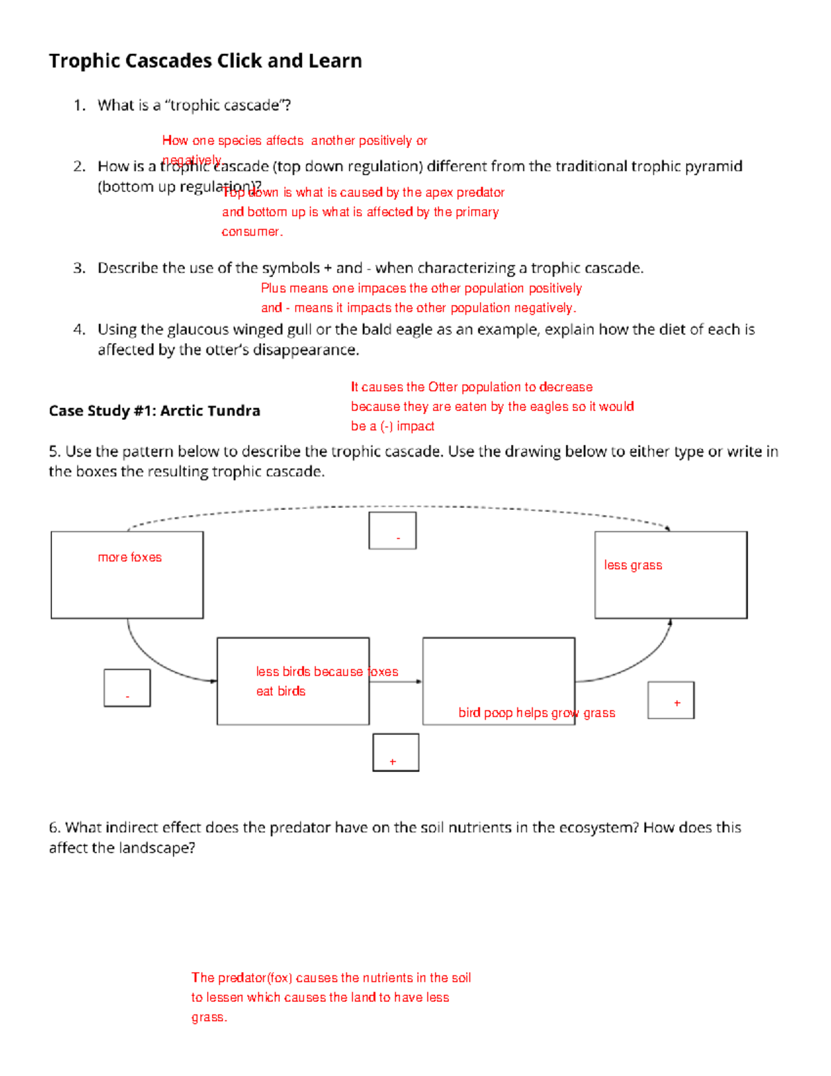 Trophic Cascades Case Study Analysis: Exploring Ecosystem Dynamics ...