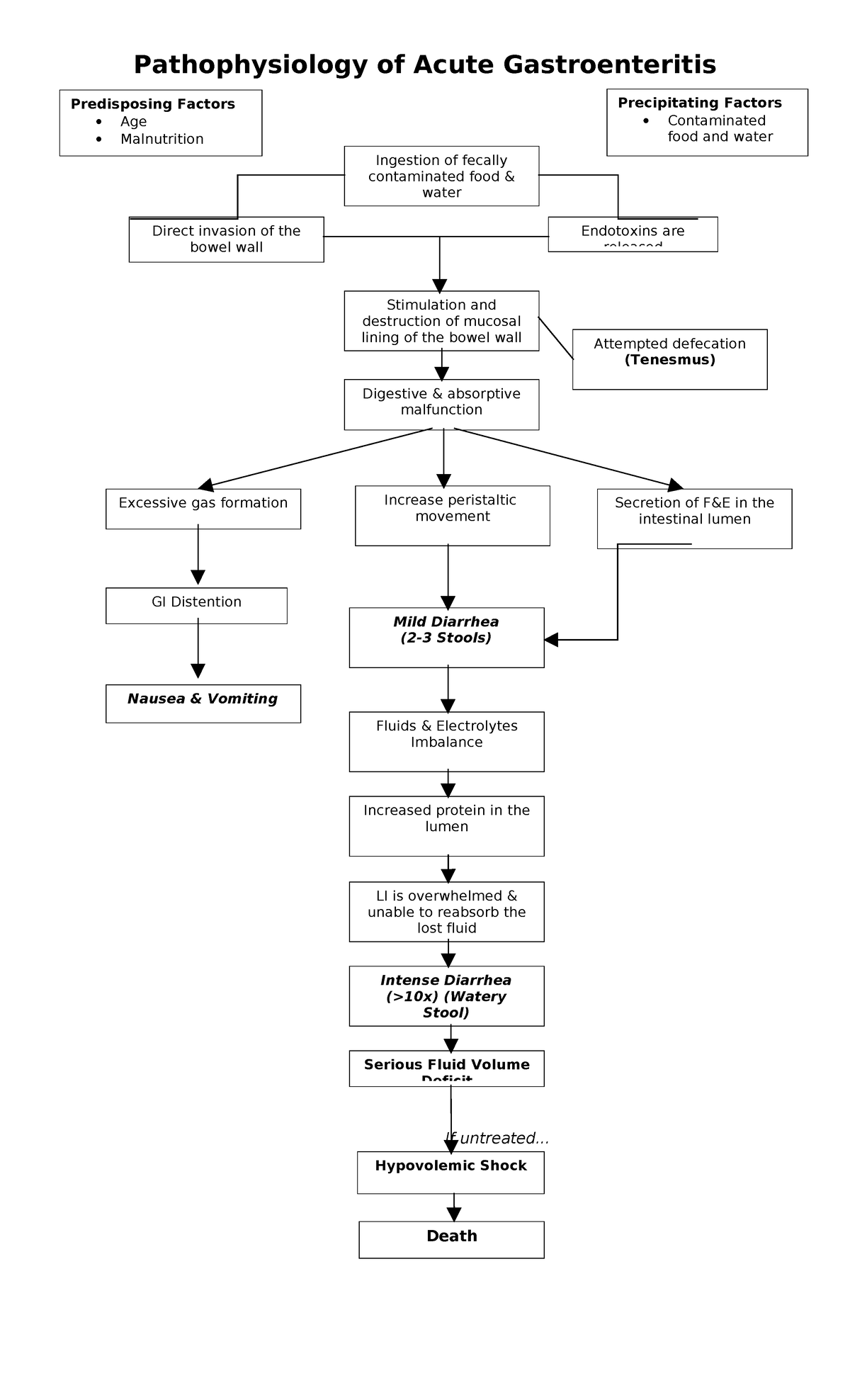 50577556 Pathophysiology of Acute Gastroenteritis - Pathophysiology of ...