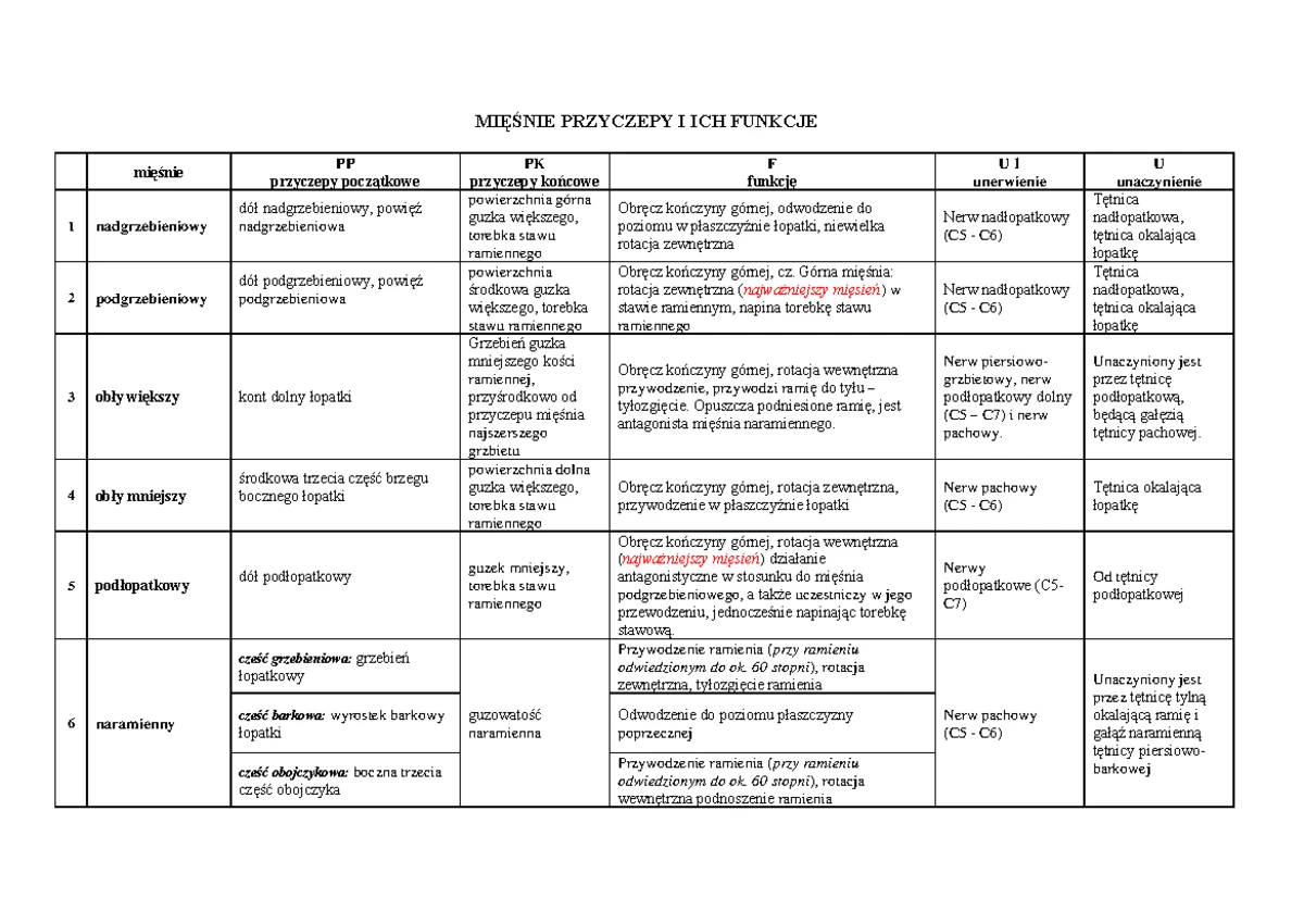 Masaż Tensegracyjny - Układy Mięśni: Kluczowe Elementy i Funkcje - Studocu