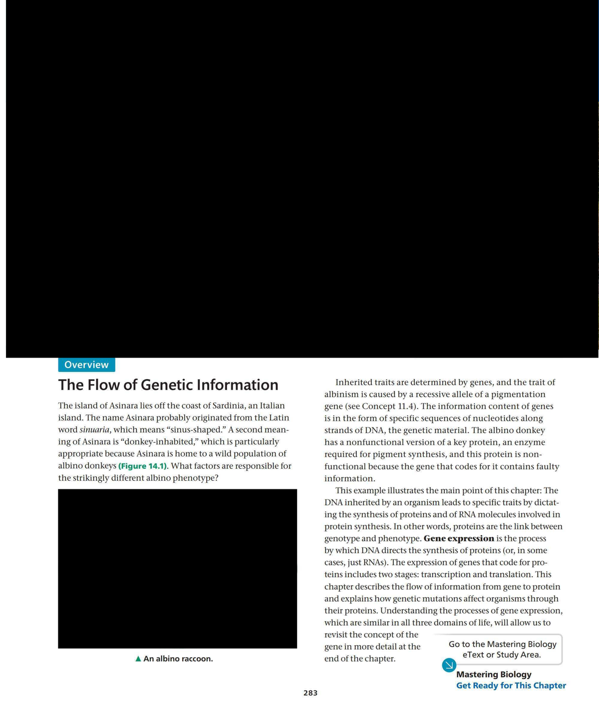 Chapter 14 Gene Expression- From Gene to Protein - Key Concepts 14 .1 ...