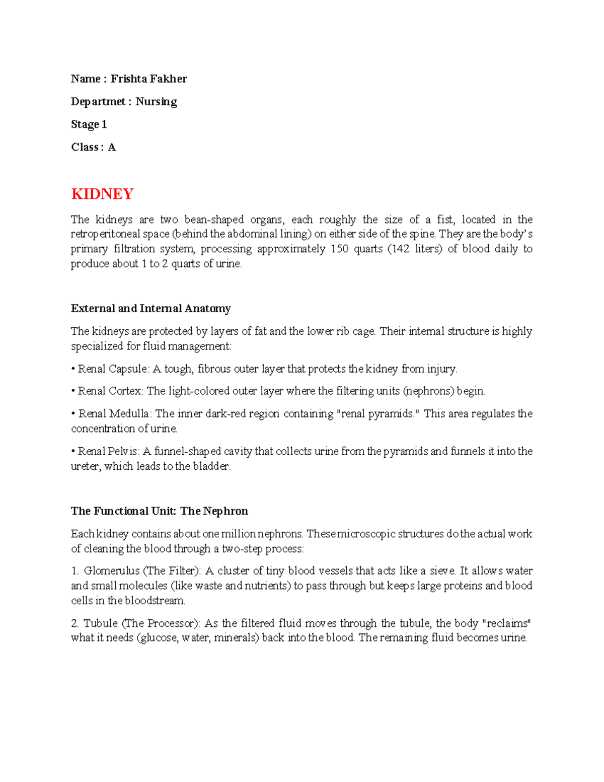 Kidney Anatomy and Function Report - Nursing Stage 1 (A) - Studocu