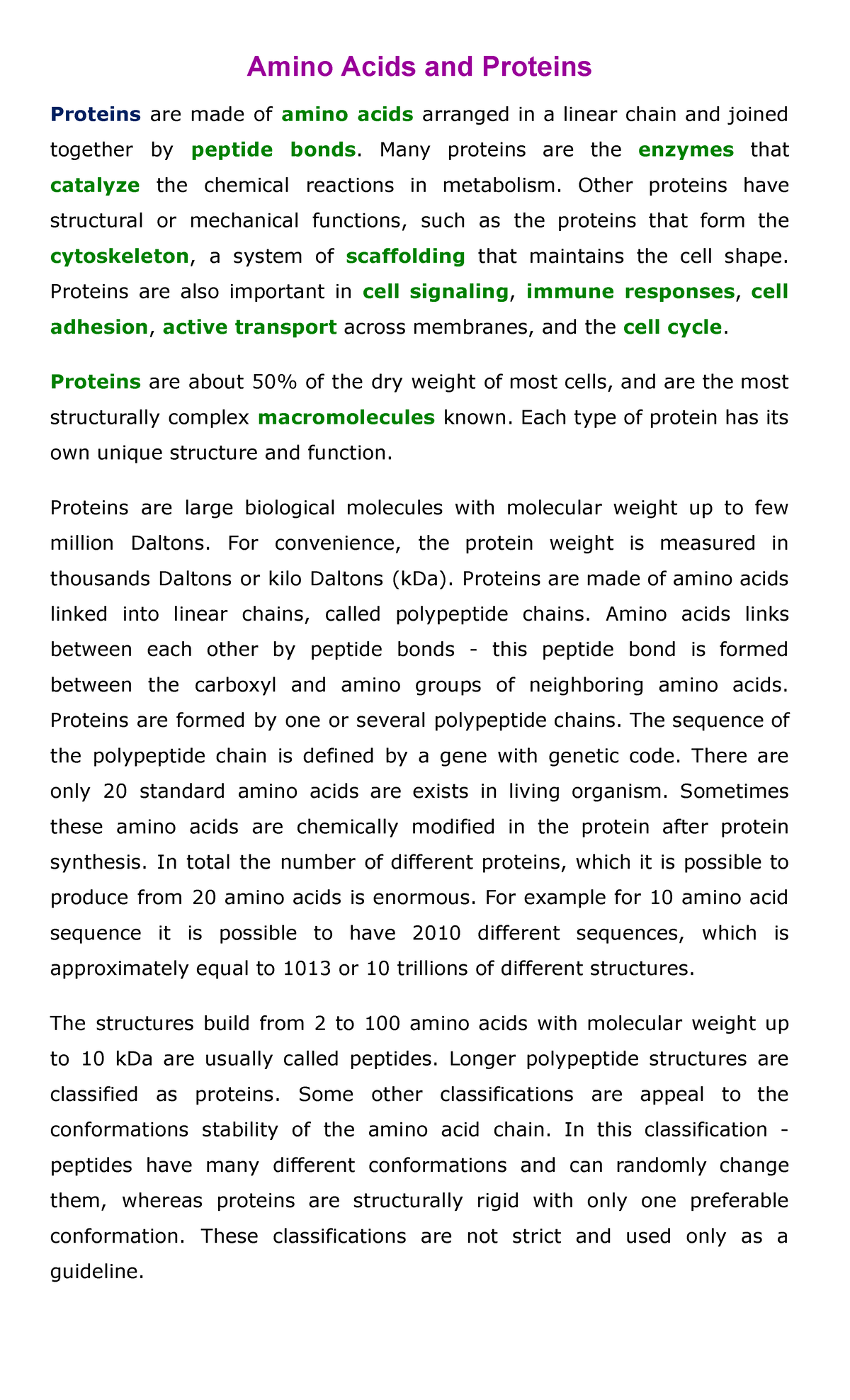 Amino Acids & Proteins: Key Concepts in Biochemistry (BIO 101) - Studocu