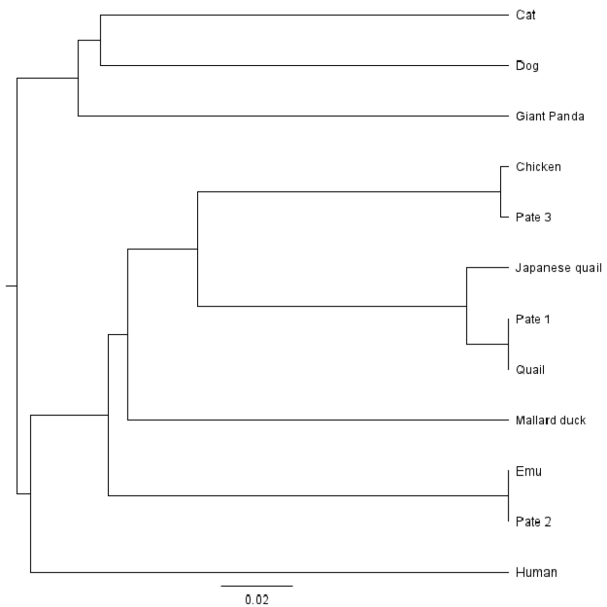 Phylogenetic tree expected results for experiment 2. - BIO282 - Studocu