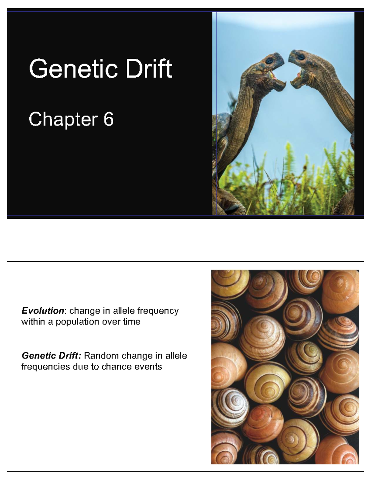 Genetic Drift and Its Impact: Lecture Notes for BIOL 101 - Studocu
