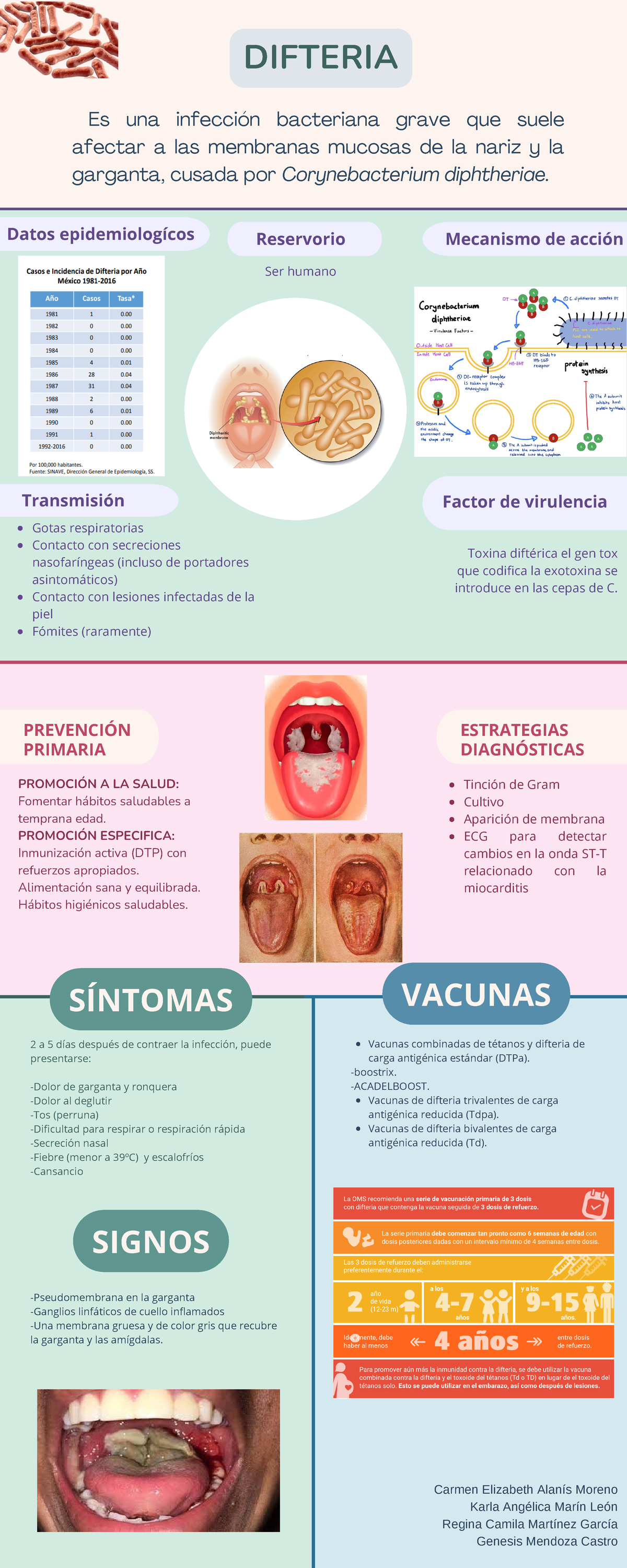 Infografía Difteria - Reservorio Toxina diftérica el gen tox que ...