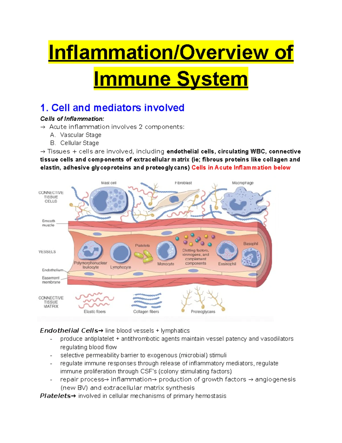 Module 4.2 Immune System - General Biology 2 Quarter 2 – Module 4: Compare and Contrast the ...