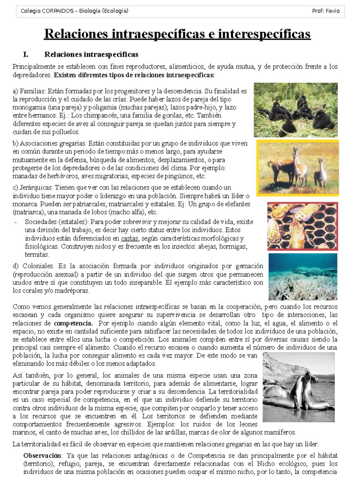 Relaciones Intraespecíficas e Interespecíficas - Biología 1ro Sec - Studocu