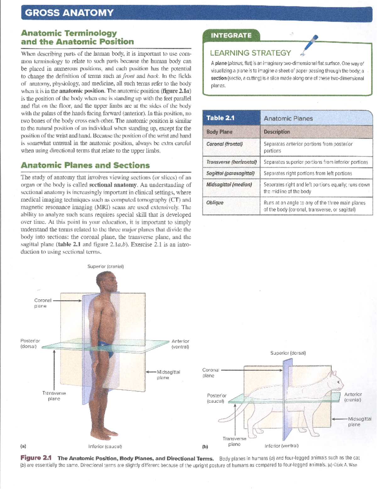 Lab Manual - Gross Anatomy: Anatomic Position & Terminology (Ch. 2 ...