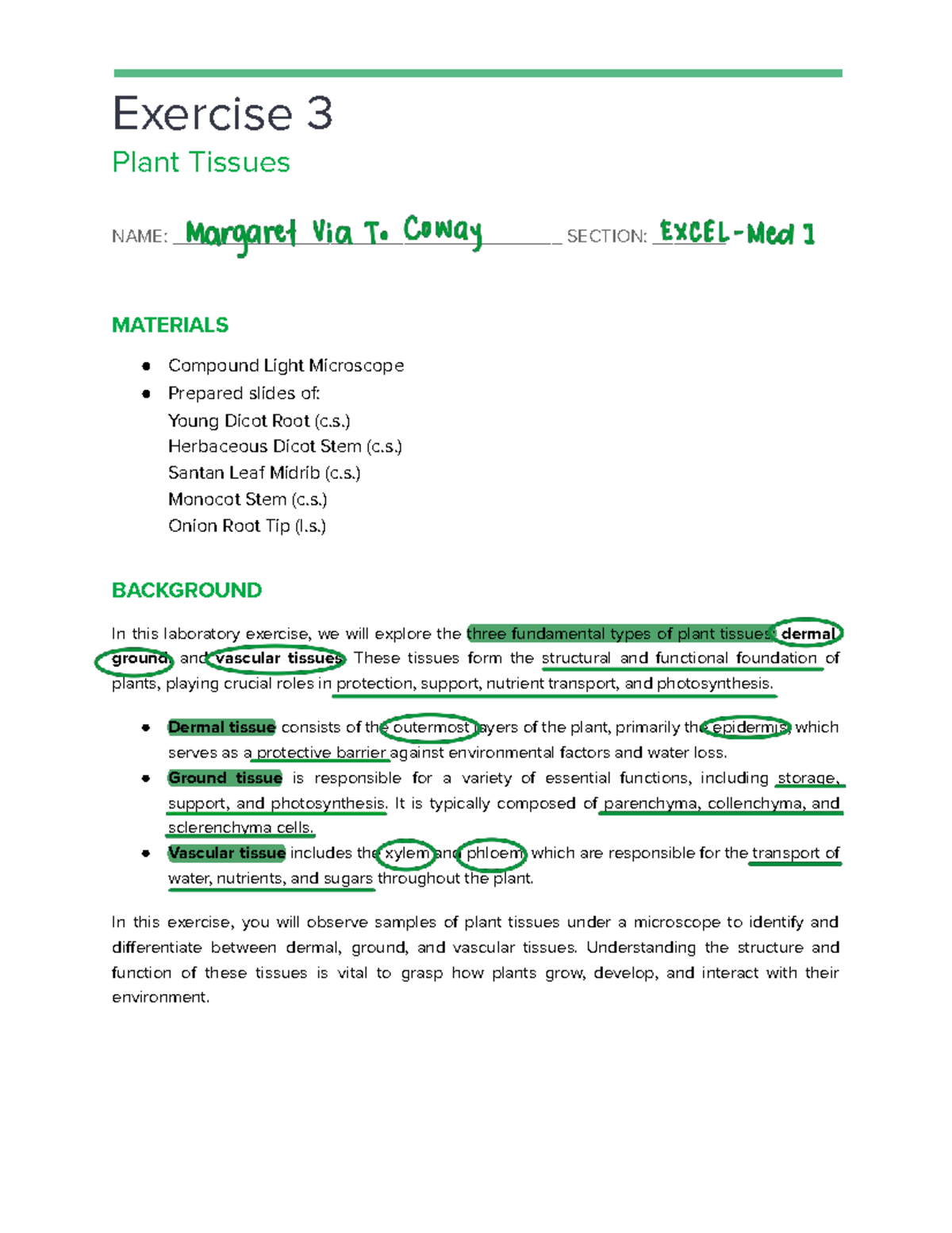 APMP-Exercise 3: Exploring Plant Tissues Under Microscope - Studocu