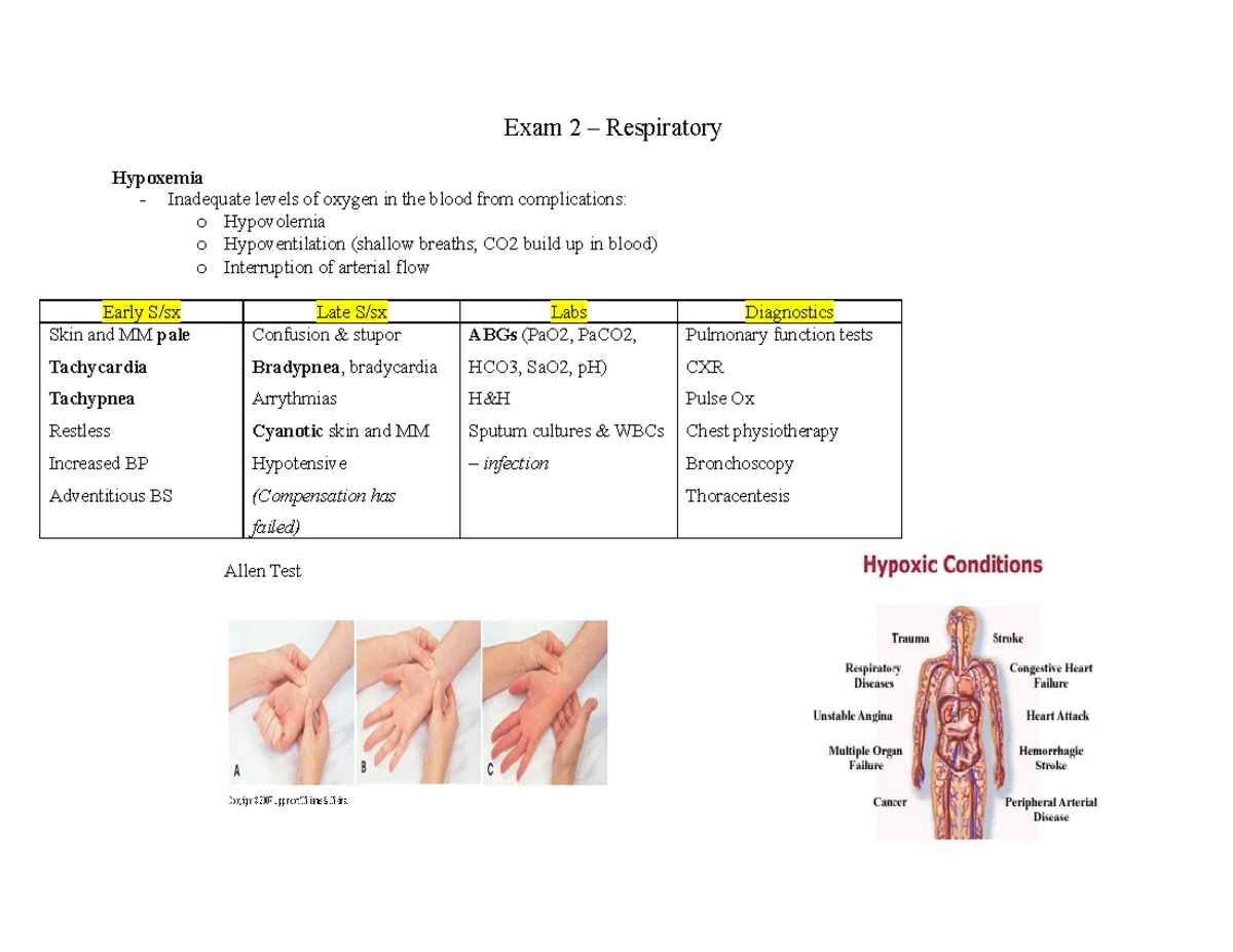 Course Point Chapter 19 - Lower Respiratory Disorders - In preparing to ...