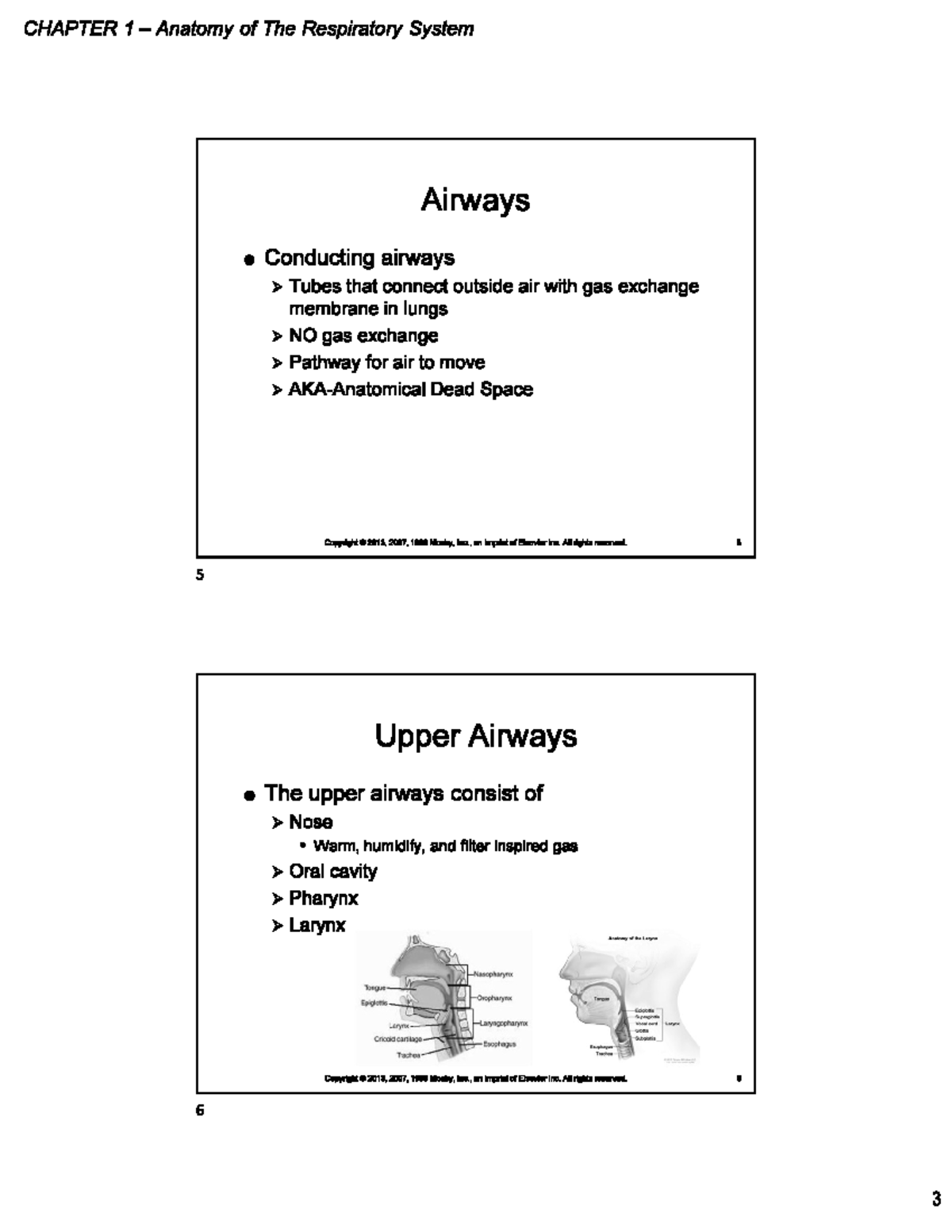 3-4 - a&p - CHAPTER 1 Anatomy of The Respiratory System Airways ...