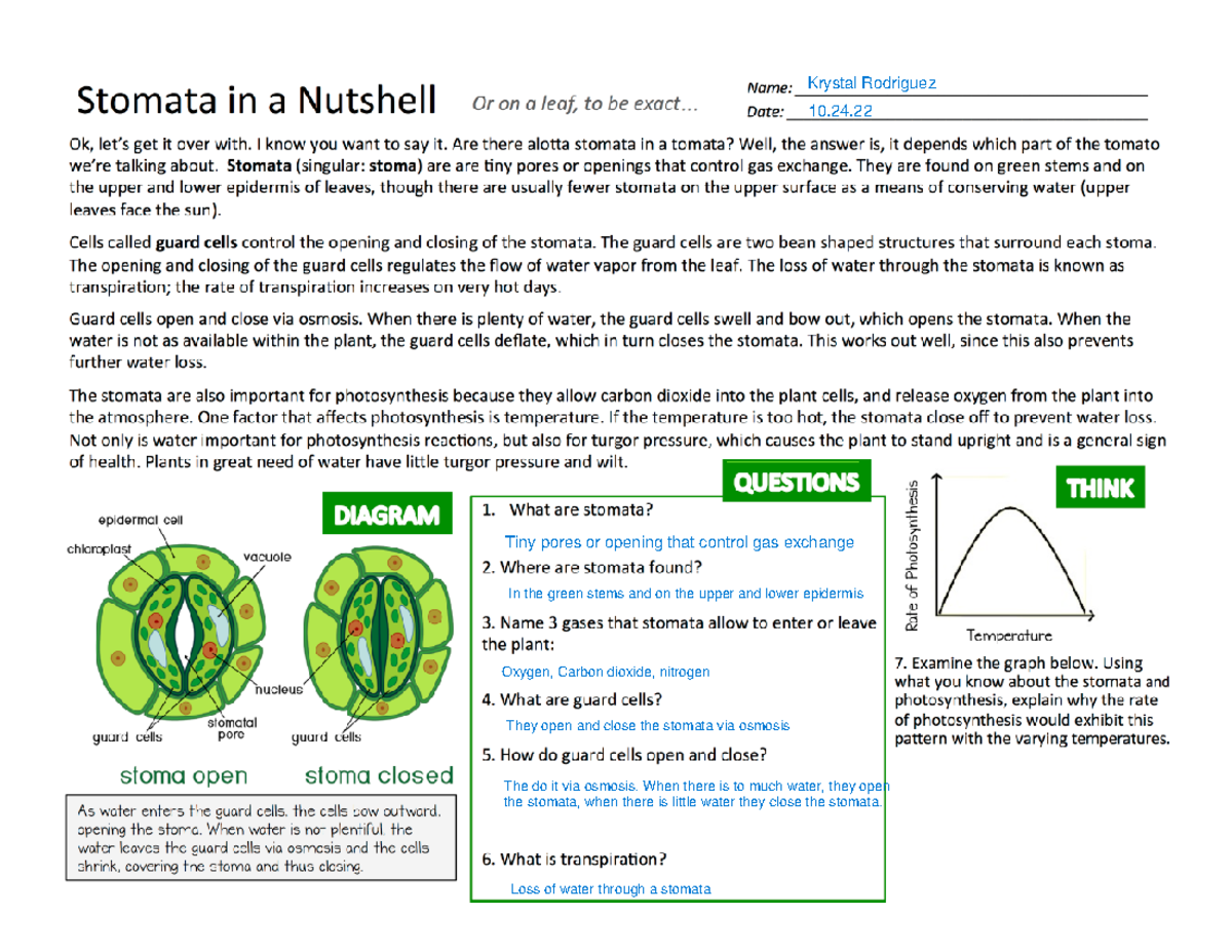 22 DUAL Bio Mini-Lab Stomata - BSC1005 - Deprecated API usage: The SVG ...