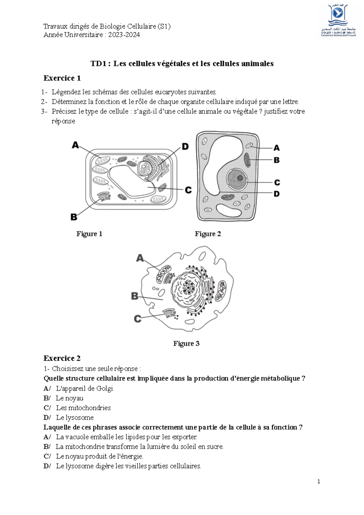 TD1 : Les Cellules Végétales et Animales en Biologie Cellulaire (S1) - Studocu