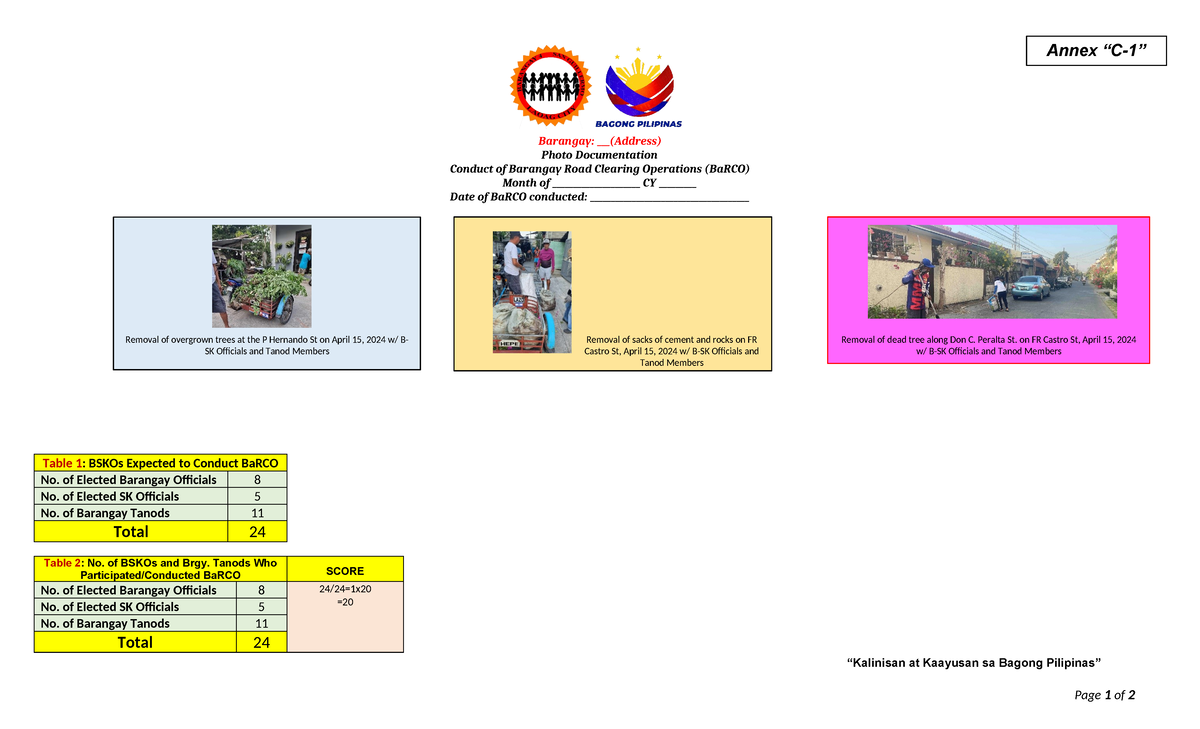 Barangay Ba RCO Monthly Monitoring Report Template w/ BSKO ...
