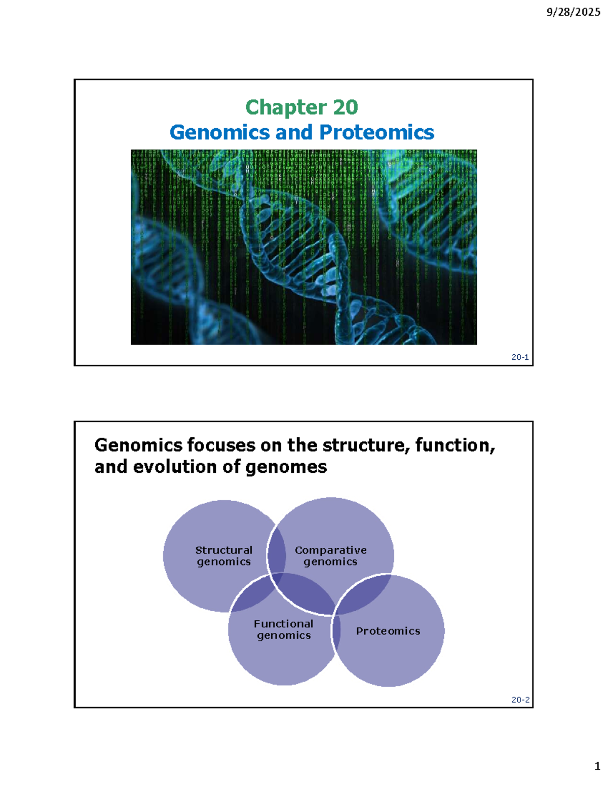 Genomics and Proteomics Overview - Chapter 20 Notes (Genetics F2025 ...