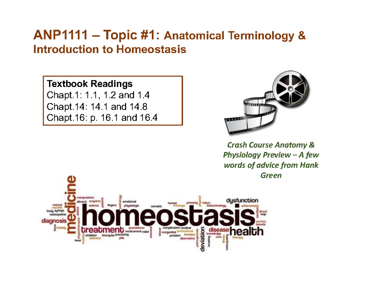 ANP1111 Lecture 1: Anatomical Terminology & Intro to Homeostasis - Studocu