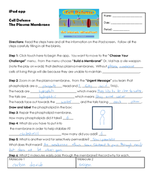 Unit 9 - Physical Education Notes - Physical EDUCATION-XI UNIT 8 ...