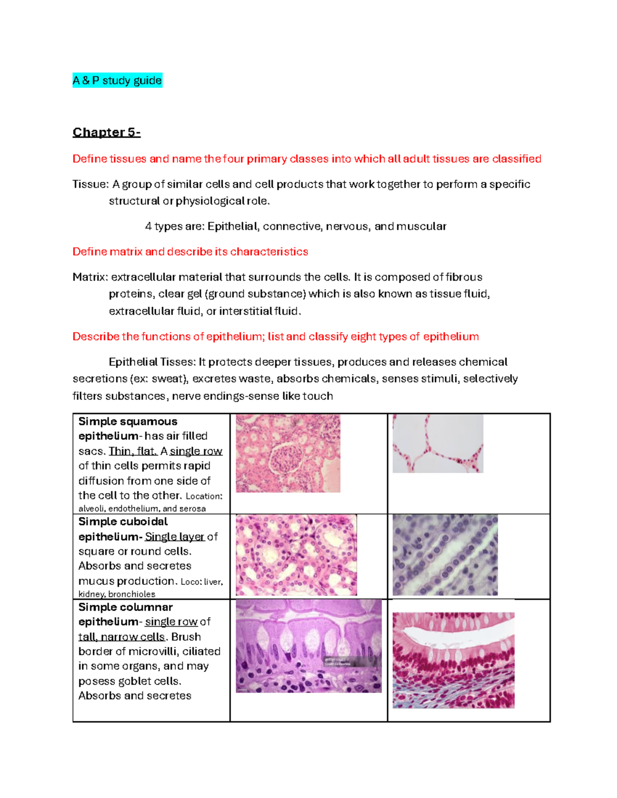 A&P Tissue Classification Study Guide: Types, Functions & Histology ...