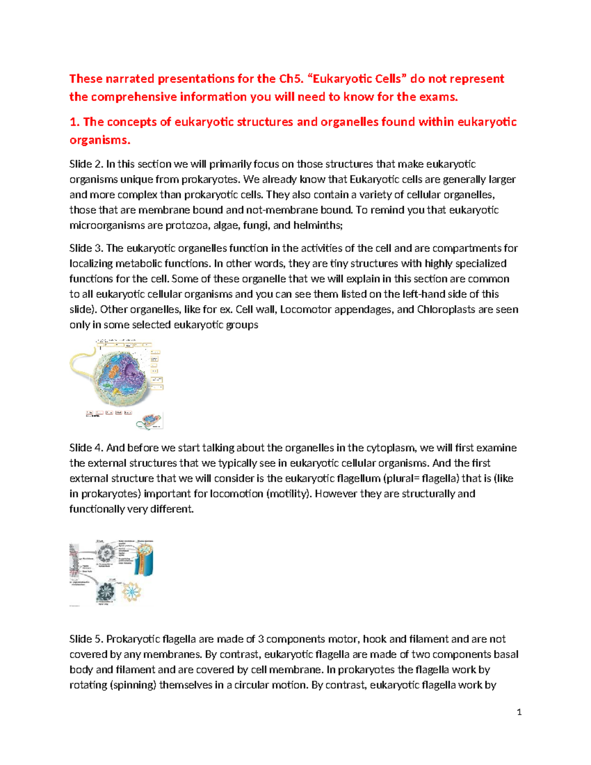 Fungal Biology and Pathogenic Mechanisms - Bio 101 Lecture Notes - Studocu