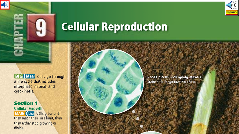 Ch 09 Cellular Reproduction: Mitosis, Cytokinesis, and Cell Cycle - Studocu