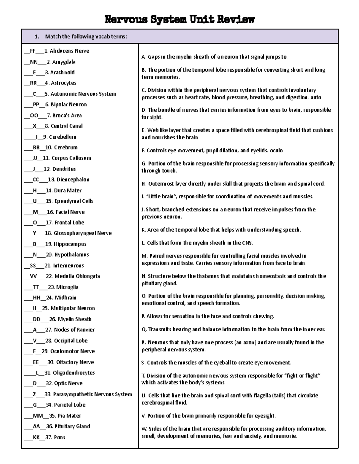 Nervous System Unit Review Q&A (QHSF 101) with Key Terms and Concepts ...