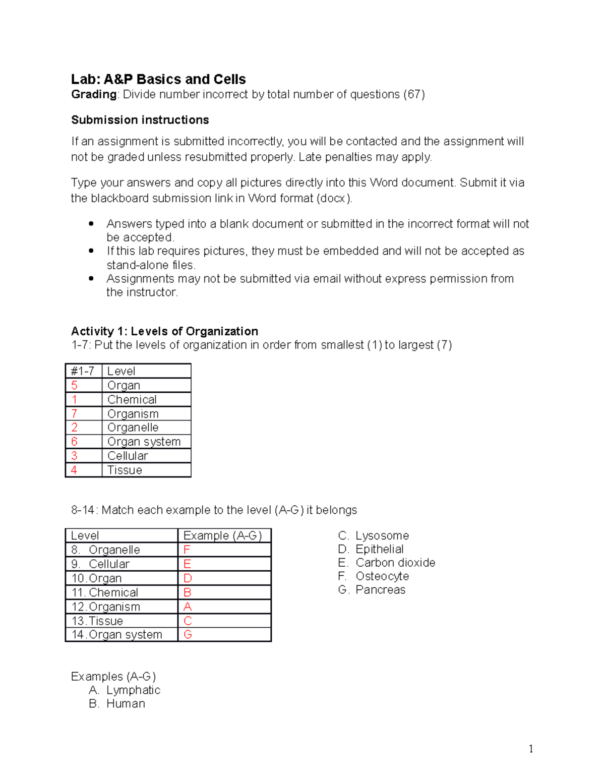 A&P 101 Lab: Basic Cell Concepts and Organization Activities - Studocu