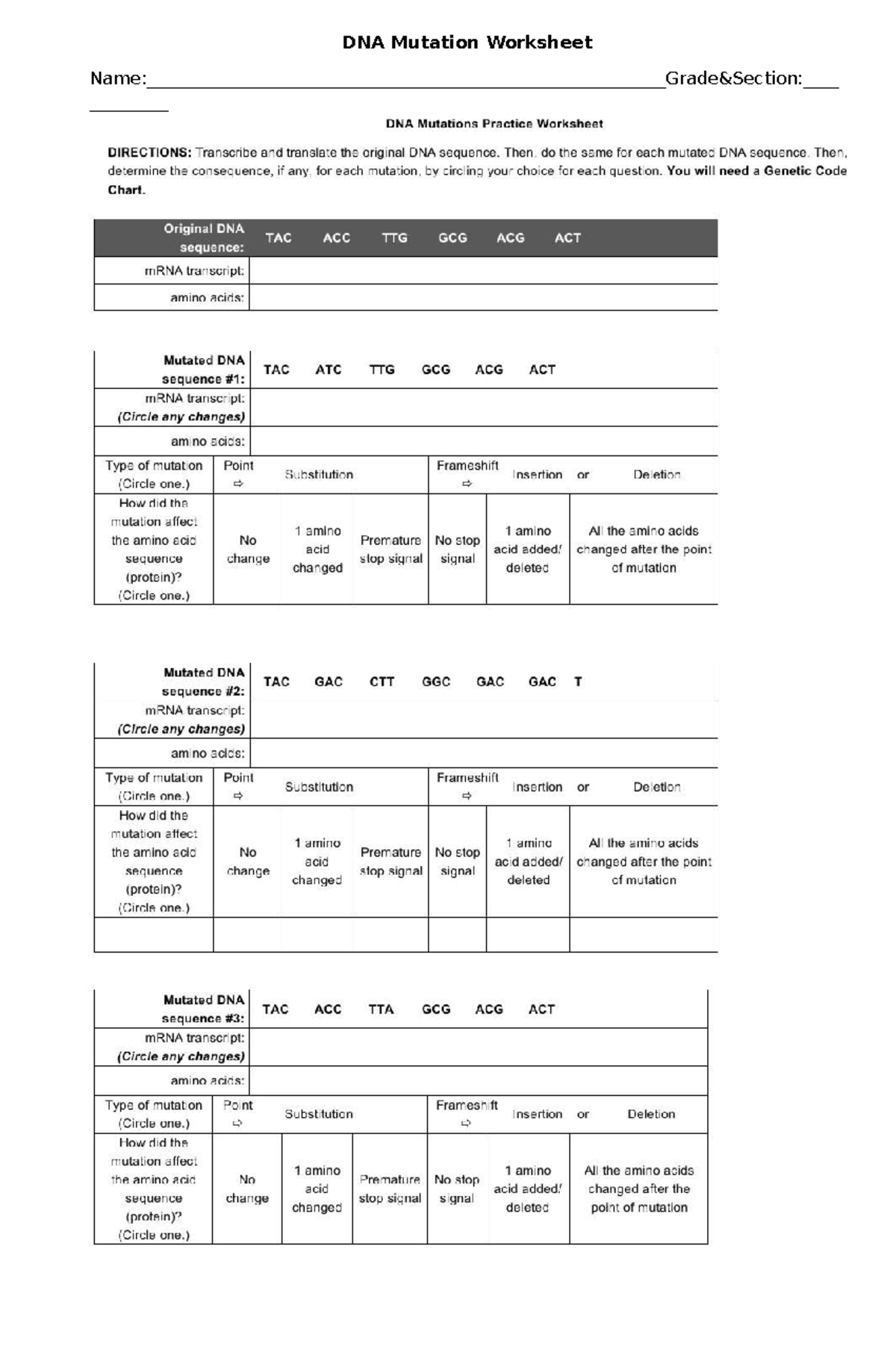 DNA Mutation Practice Worksheet: Analyzing Sequences & Consequences ...