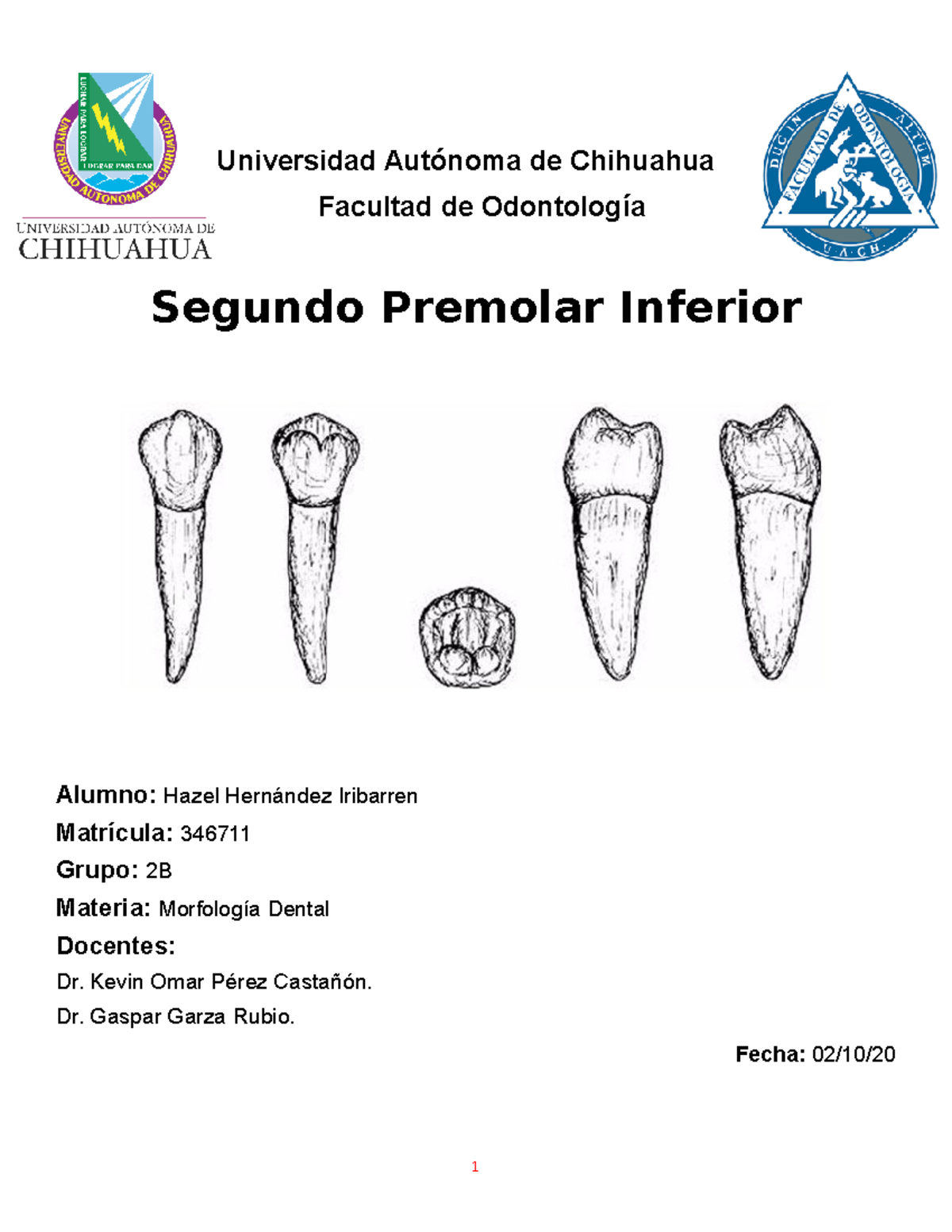 Morfología Dental: Segundo Premolar Inferior - Notas de Estudio - Studocu