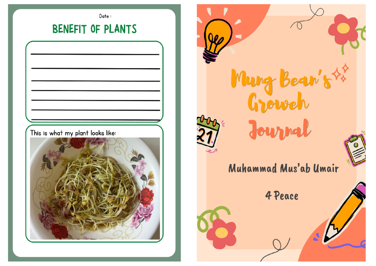 Plant Observation Journal: Mung Bean Growth - SC Project Java - Studocu