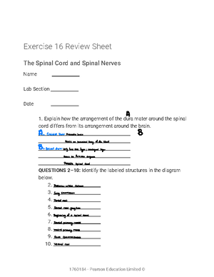 Lab 12 - completed lab assignment - Exercise 12 Review Sheet Muscles of ...